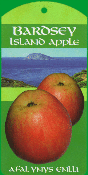 Ian Sturrock & Sons - Summer Sale, rare fruit trees from £16.99!