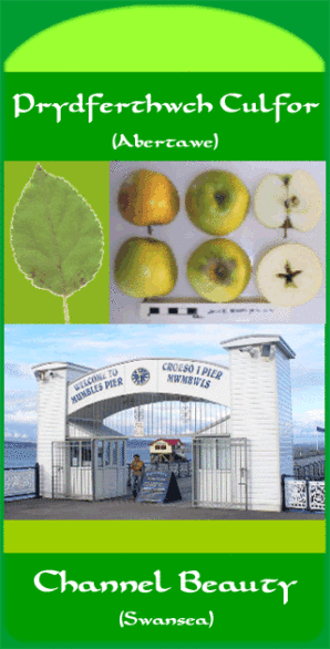 Ian Sturrock and Sons - Welsh Fruit Trees Online Shop