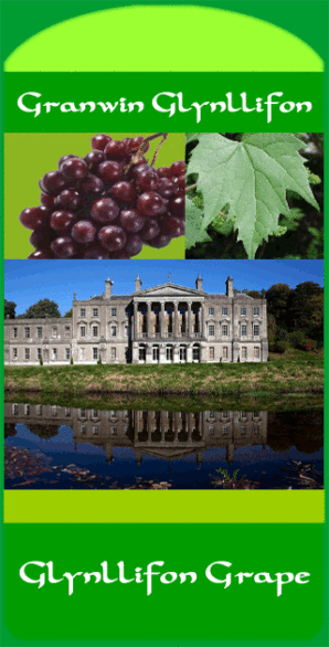 Ian Sturrock & Sons - Summer Sale, rare fruit trees from £16.99!