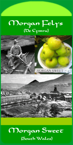 Ian Sturrock and Sons - Welsh Fruit Trees Online Shop