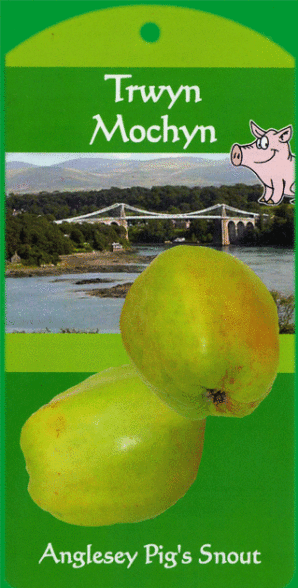 Ian Sturrock & Sons - Summer Sale, rare fruit trees from £16.99!