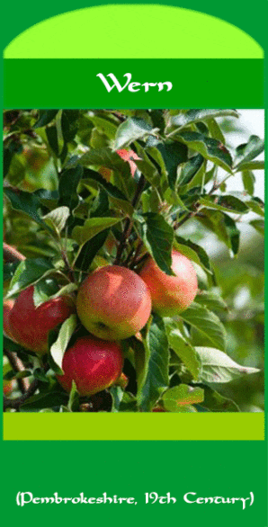 Ian Sturrock and Sons - Welsh Fruit Trees Online Shop