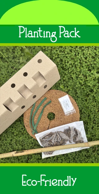 Eco-friendly Planting Pack (x1 Tree) - Ian Sturrock and Sons